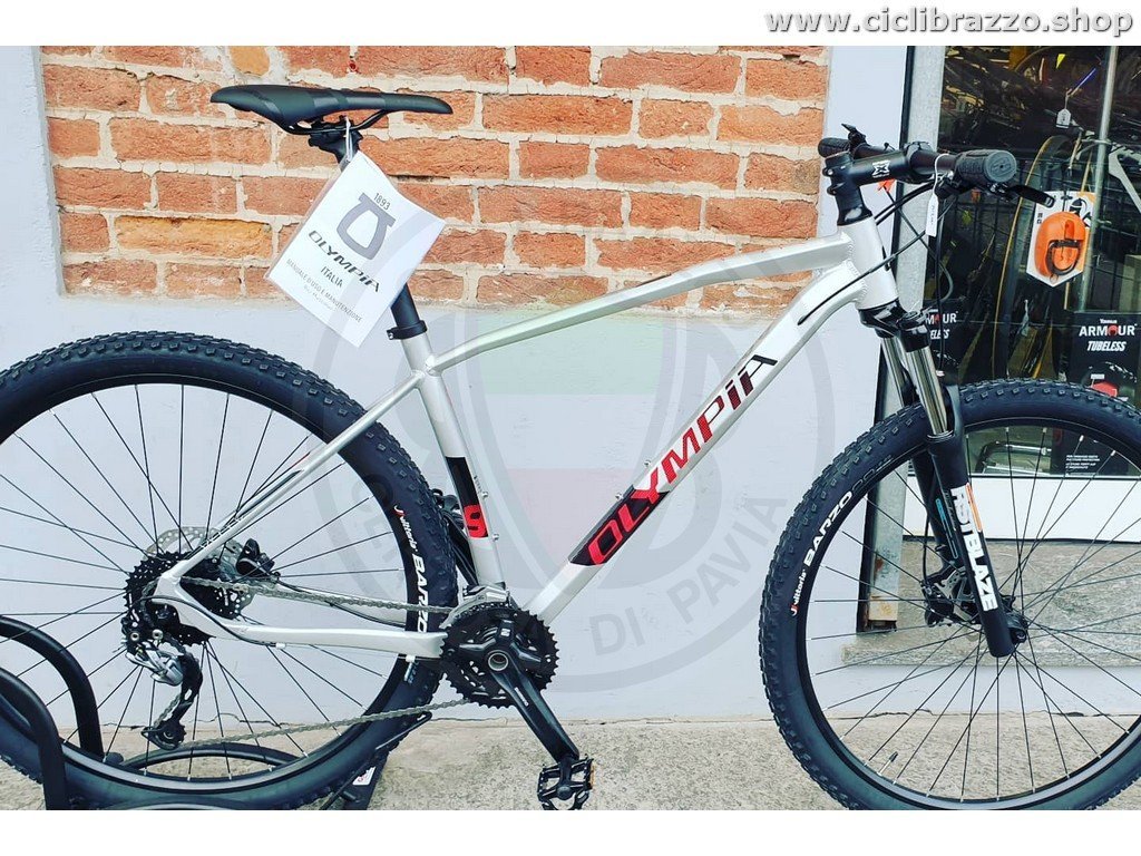 Olympia DRAKE 29 COUGAR BLAZE RL X-FEEL - 2021 MTB 29 Front